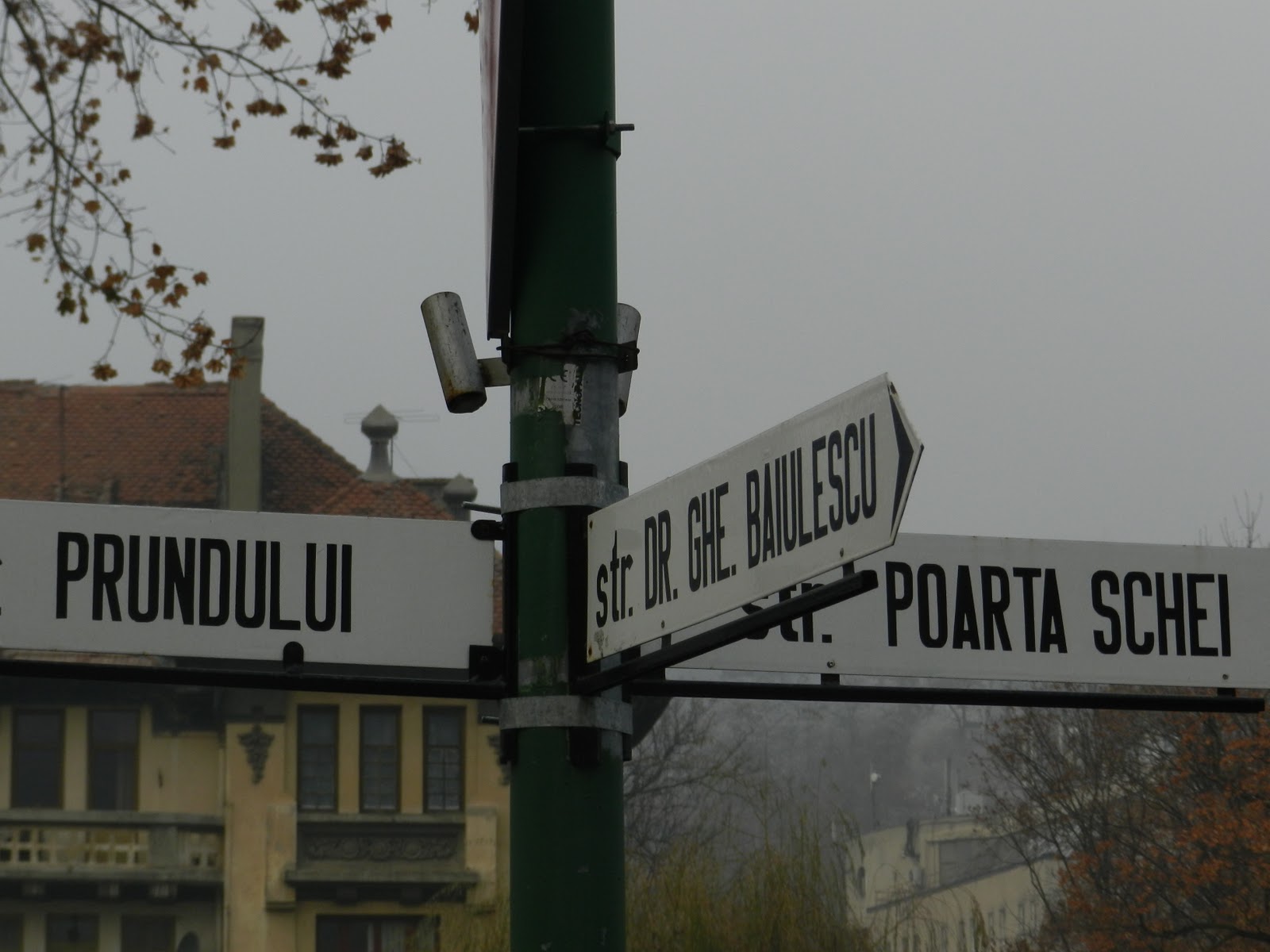 Deo Vindici Patriae – Blogul de sub Tâmpa